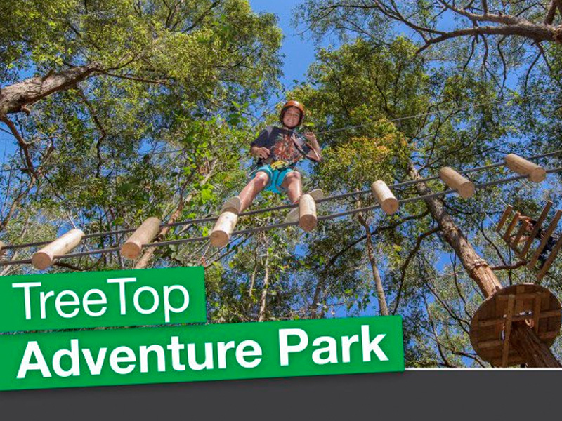 Attractions | Coffs Holiday Rentals